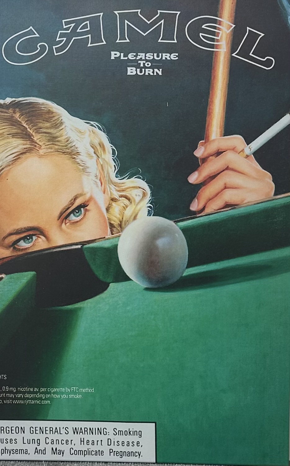 Camel cigarette Poster - Custom Framers